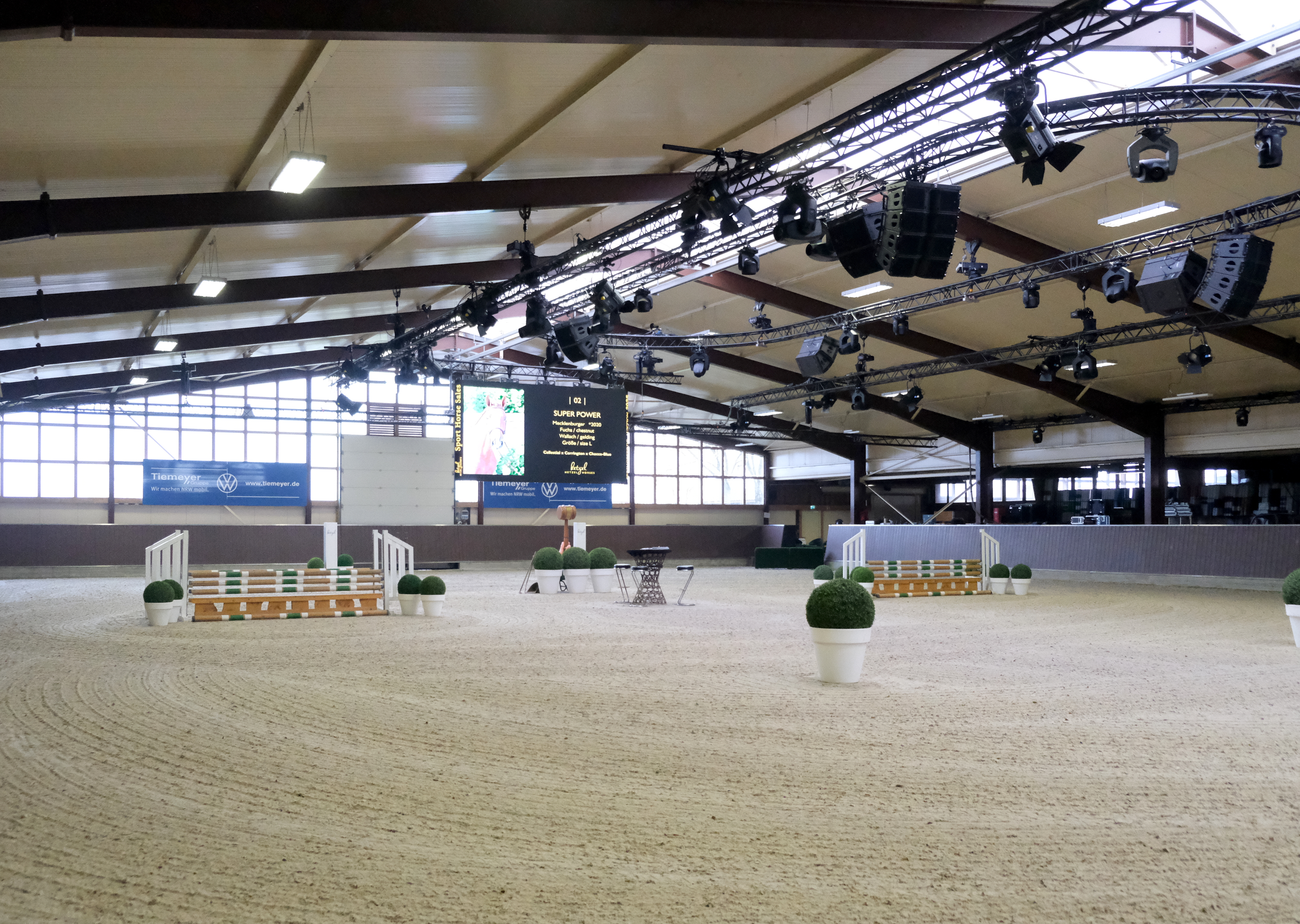 Atmospheric sunday brunch with impressive presentation of auction horses | Holger Hetzel